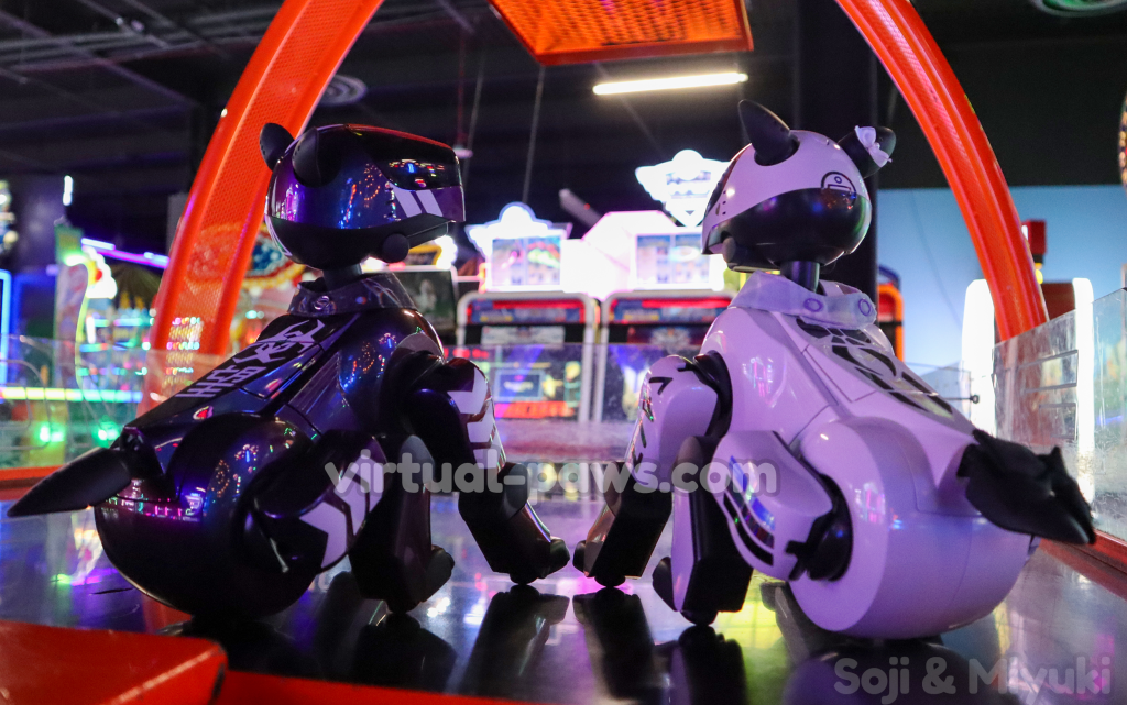 Aibo Models: Choosing the Best Model for You | Virtual Paws